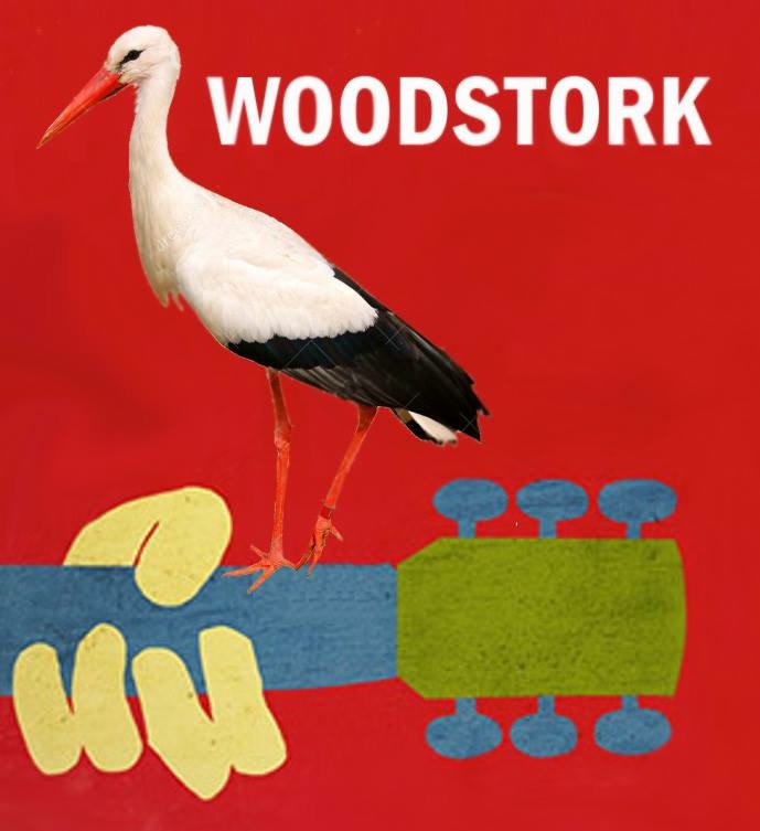 Réservez Groupe WOODSTORK ACOUSTIC TRIO pour votre | Gigstarter