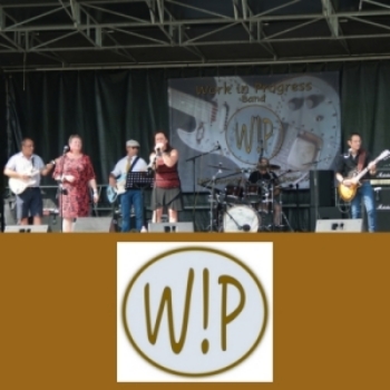 Boek Work in Progress | Gigstarter