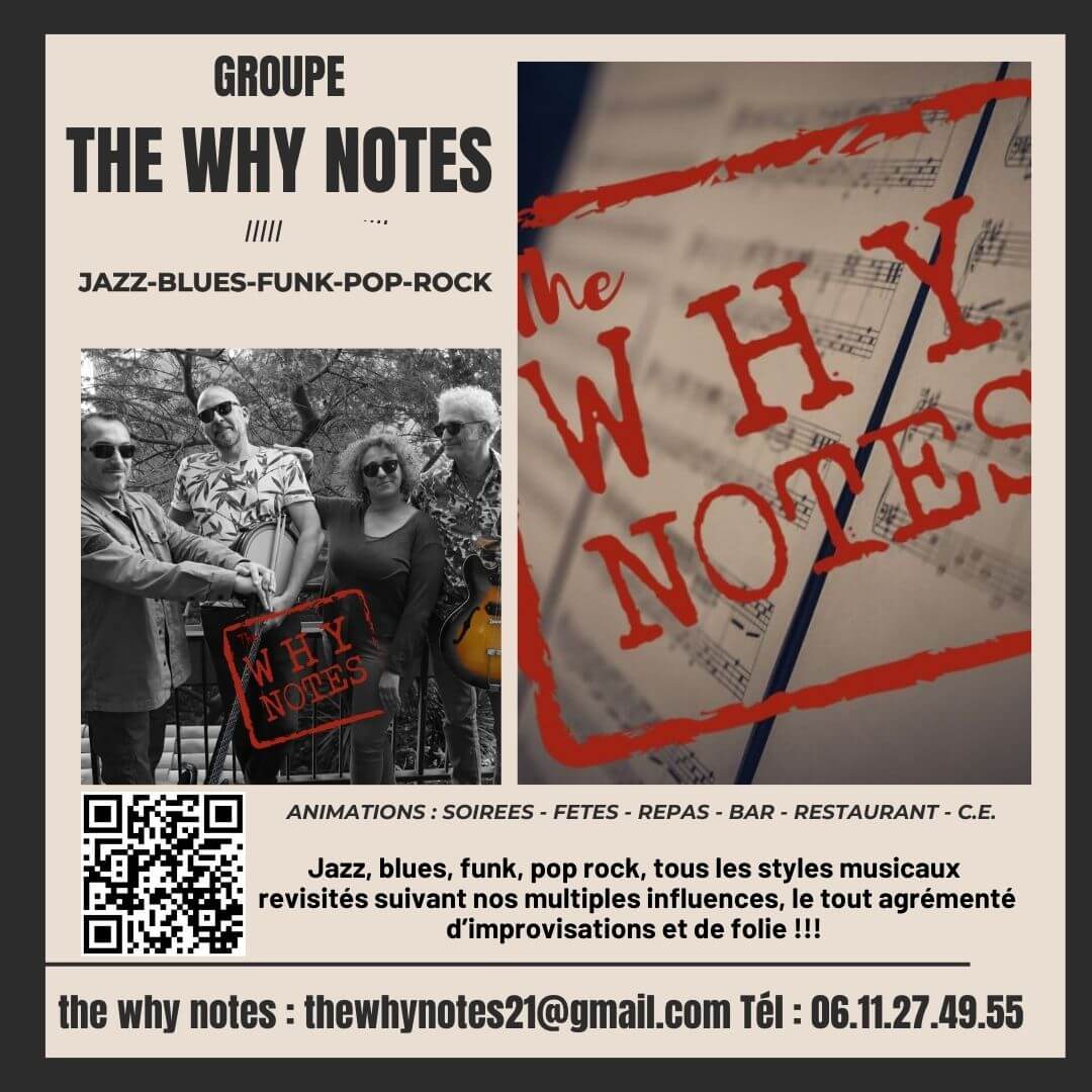 Boek The WHY NOTES | Gigstarter