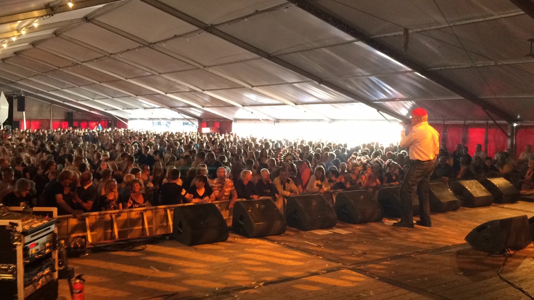 Boek Harry Slinger: boek Drukwerk/Muzikaal Cultureel | Gigstarter