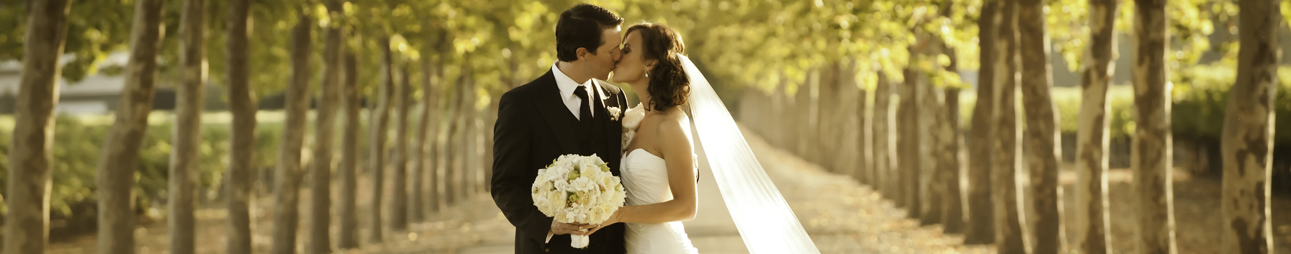 Contratar banda para boda - Contratación gratuita y fácil | Gigstarter